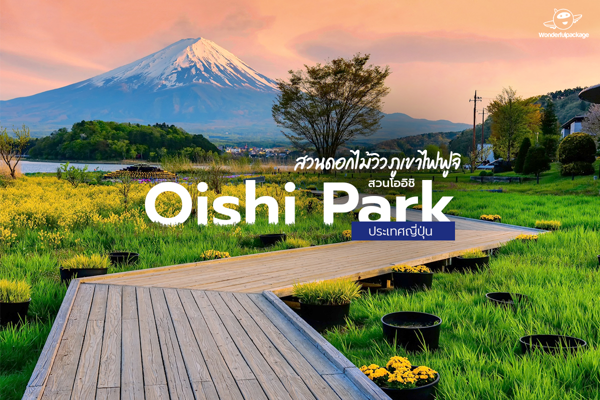 บรรยากาศล่าสุดจาก เทศกาลชิบะซากุระ หรือ พิงค์มอส 2023 @Oishi Park กับวิวภูเขาไฟฟูจิ